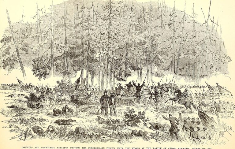 In the Line of Fire: Clara Barton at Cedar Mountain - Clara Barton ...