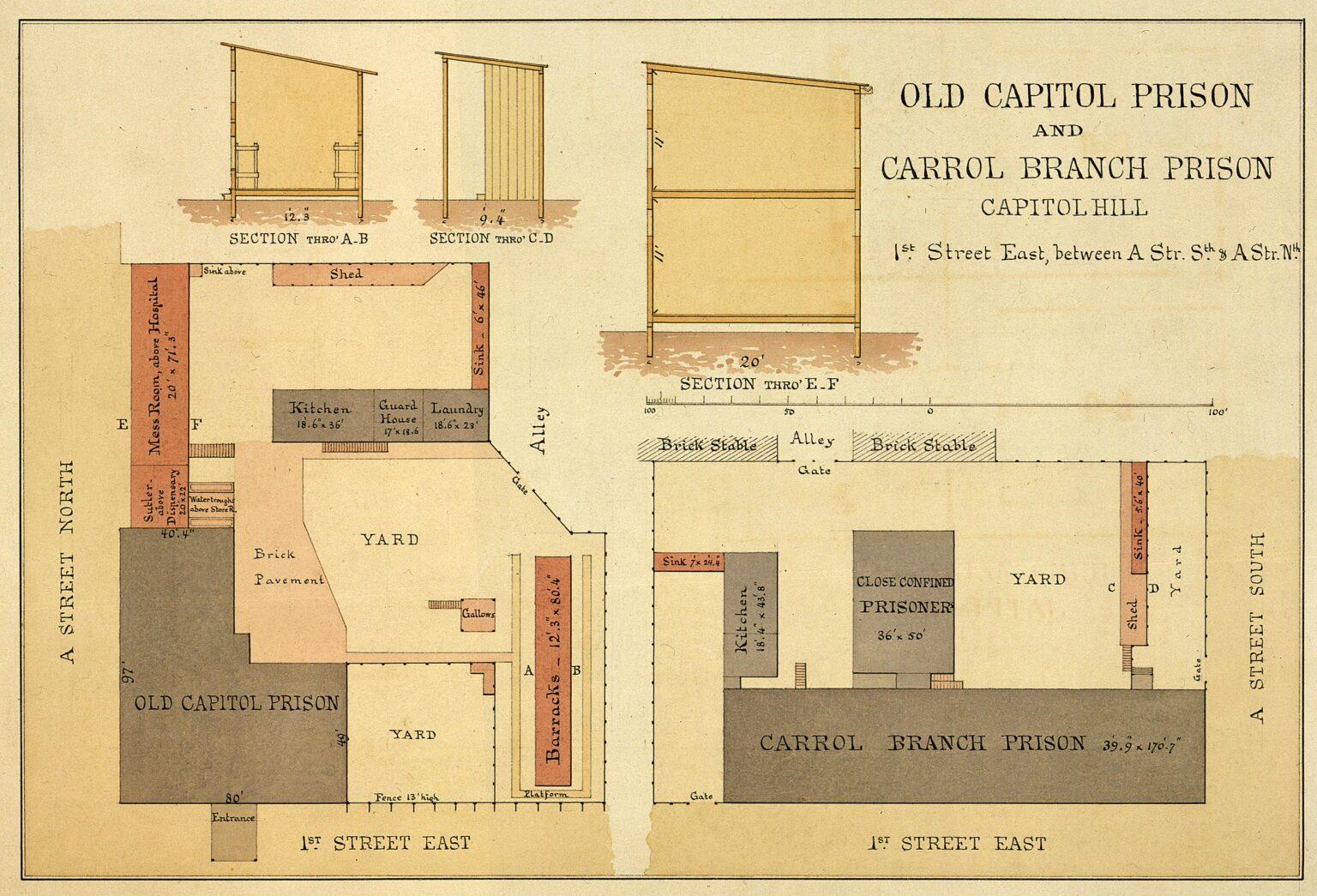 The Rebel of 7th Street: The Capture and Confinement of Clara’s ...